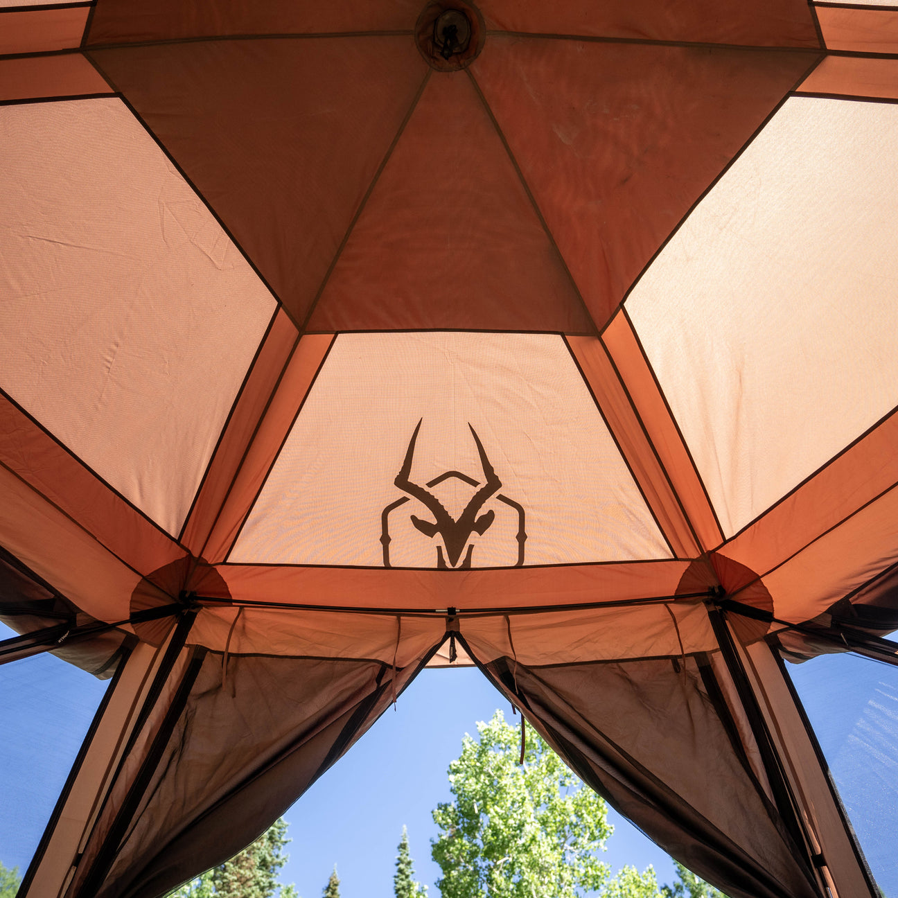 Gazelle Tents G6 Cool Top 6-Sided Portable Gazebo, Easy Pop-Up Hub ...